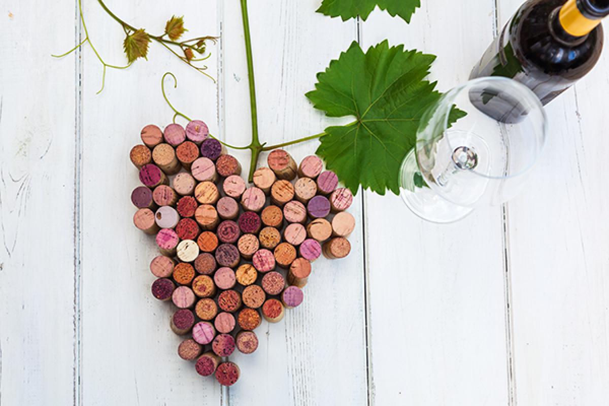 Pop, Cork, and Craft Party - Rockford - St. Julian