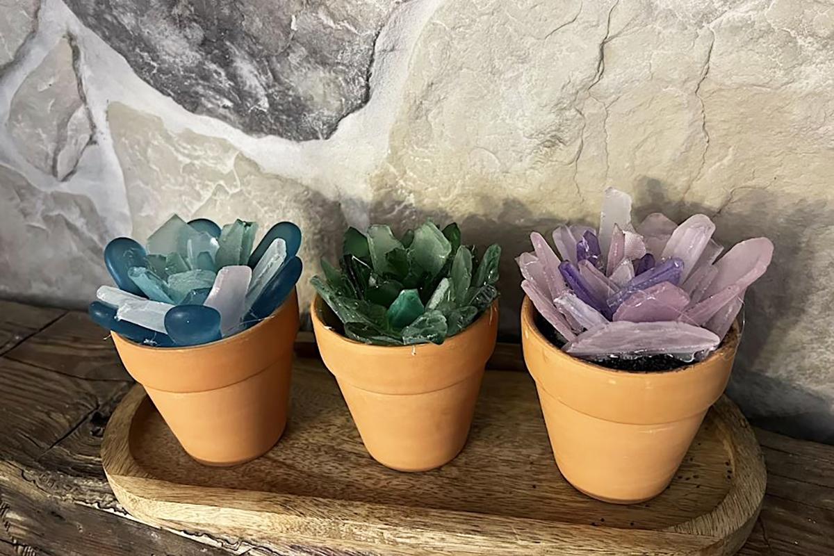 Sea Glass Succulent Workshop - Paw Paw - St. Julian